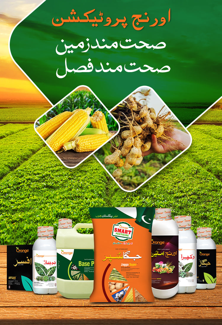Best Pesticide Company in Pakistan for Insecticides & Fertilisers. – Orange Protection