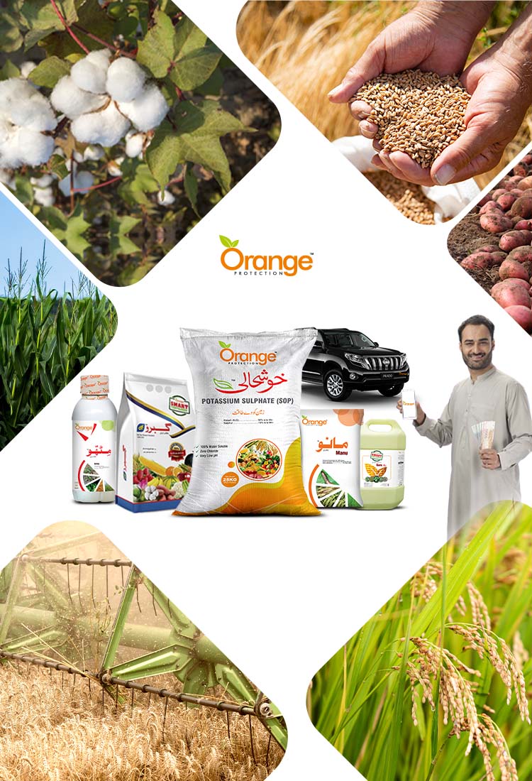 Orange Protection | Online Agriculture Products in Pakistan